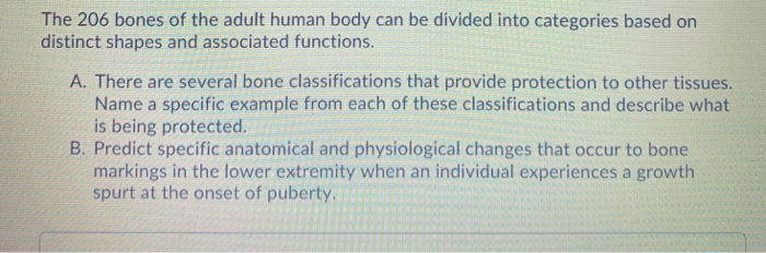 The 206 bones of the adult human body can be divided | Chegg.com