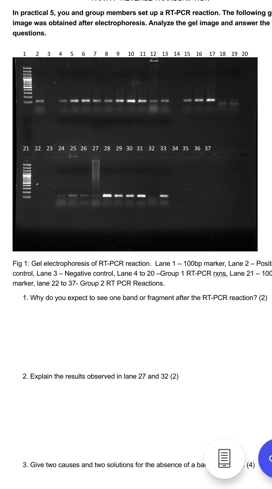Solved In practical 5, you and group members set up a RT-PCR | Chegg.com