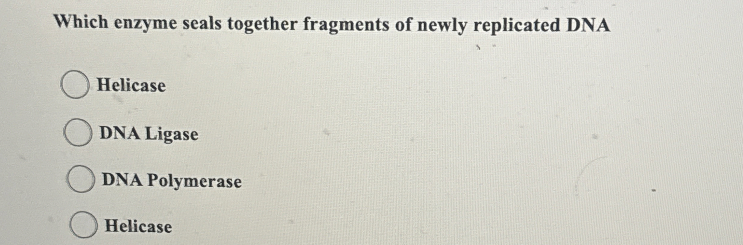 Solved Which enzyme seals together fragments of newly | Chegg.com