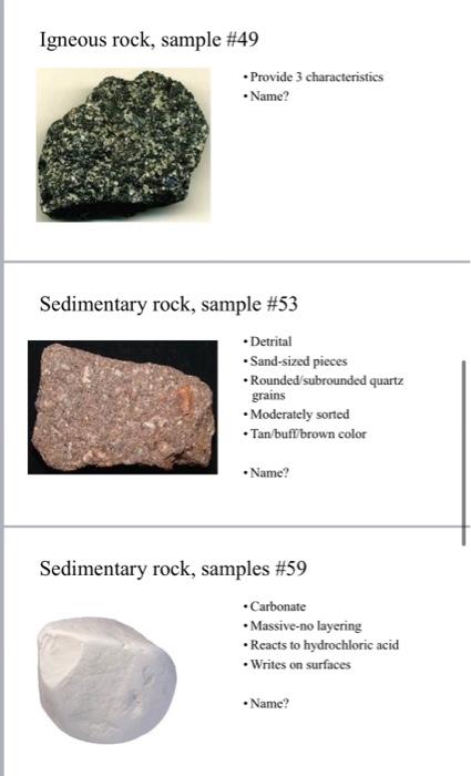 Solved Igneous rock, sample #49 • Provide 3 characteristics | Chegg.com