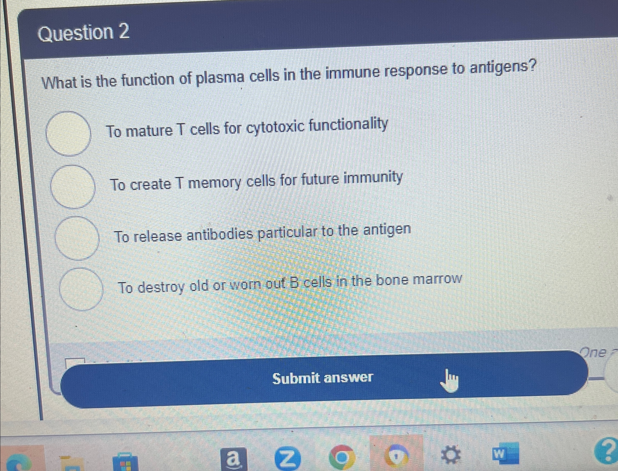 Solved Question 2What is the function of plasma cells in the | Chegg.com