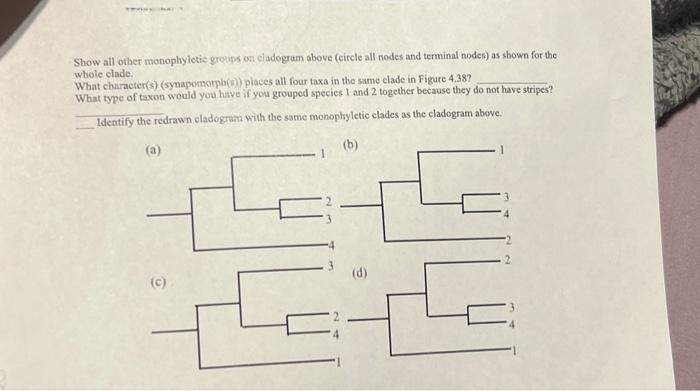Solved Show all other monophyletie groups on cladogram above | Chegg.com