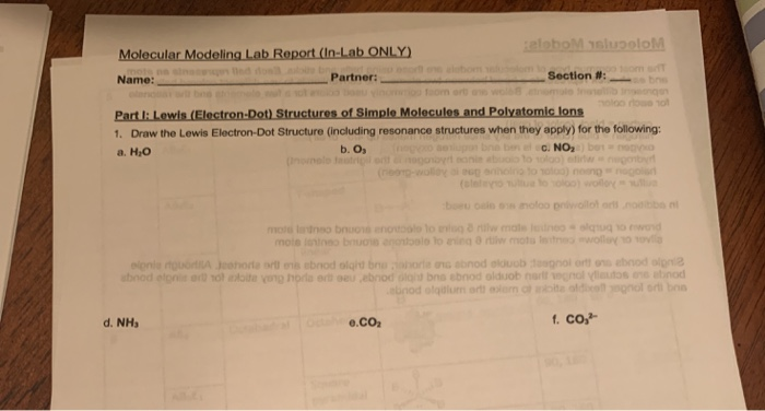 Solved ReloboMuoloM Molecular Modeling Lab Report (In-Lab | Chegg.com