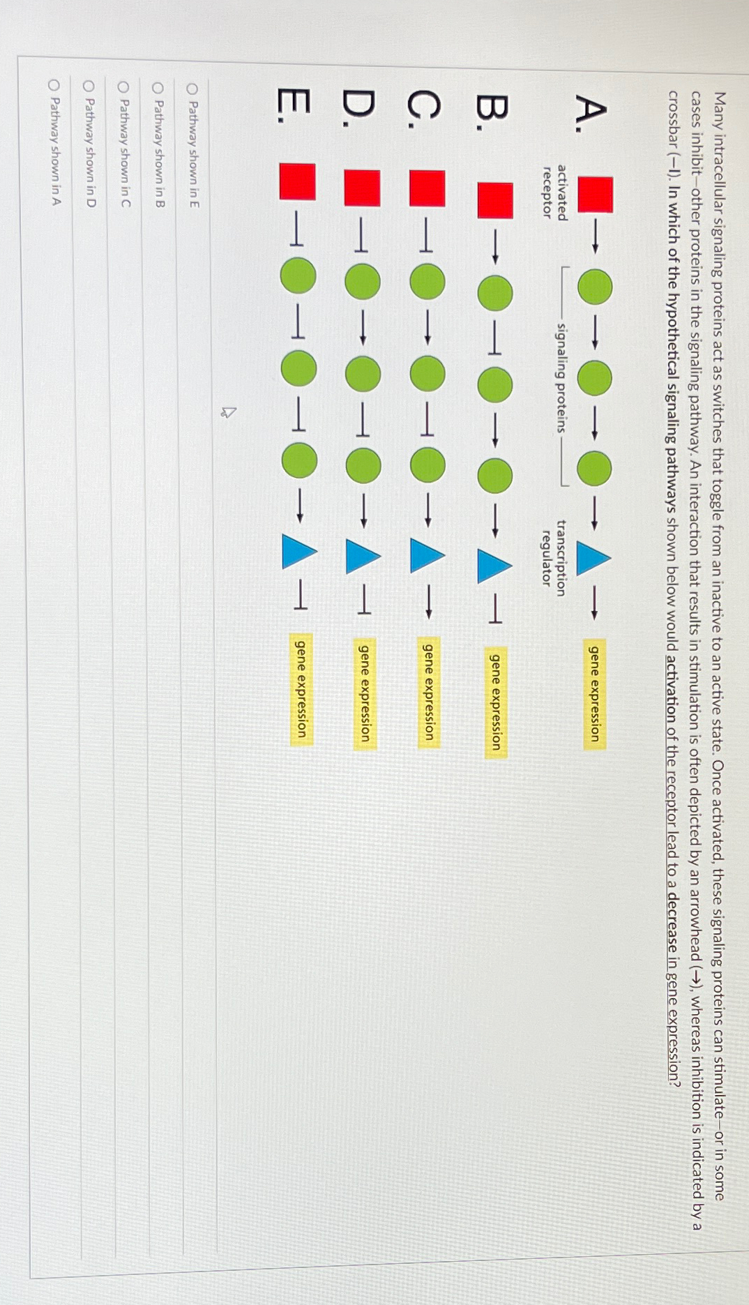 Solved Many intracellular signaling proteins act as switches | Chegg.com