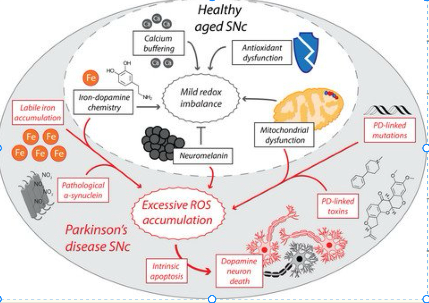 Solved can you explain me this picture step by step please | Chegg.com