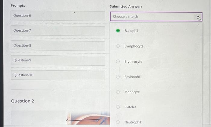 Solved 001000Prompts Submitted Answers Basophil Lymphocyte | Chegg.com