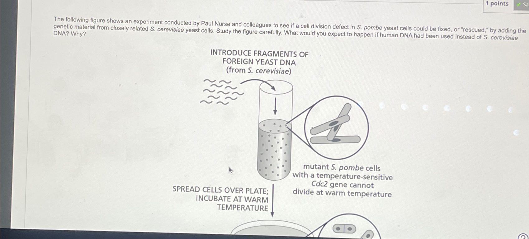 Solved 1 ﻿pointsThe following figure shows an experiment | Chegg.com