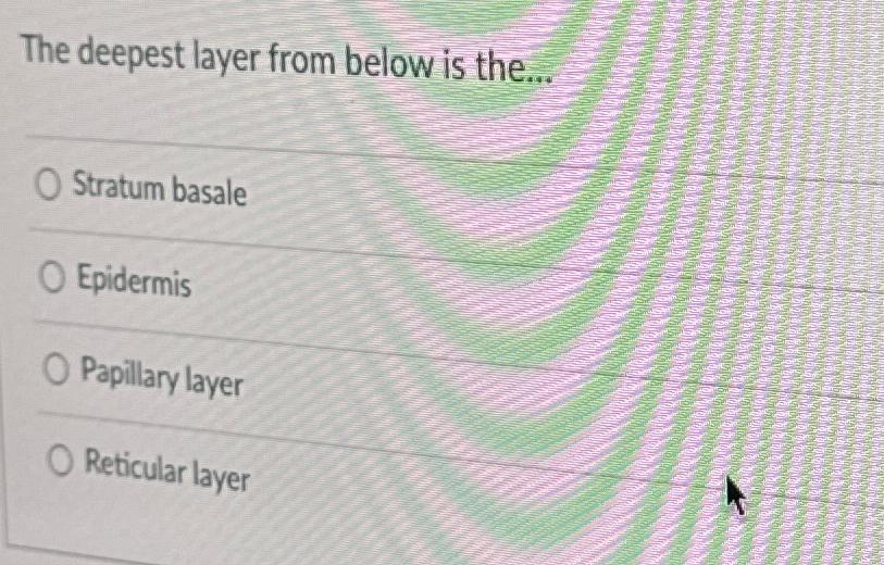 Solved The deepest layer from below is the...Stratum | Chegg.com