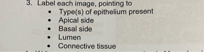 3. Label each image, pointing to - Type(s) of | Chegg.com