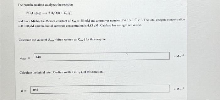 Solved The protein catalase catalyzes the reaction | Chegg.com