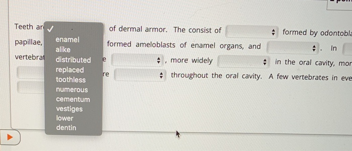 Solved Teeth are of dermal armor. The consist of • formed by | Chegg.com