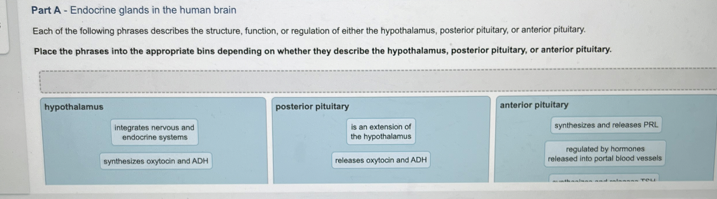 Solved Part A - ﻿Endocrine glands in the human brainEach of | Chegg.com