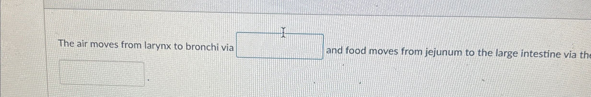 Solved The air moves from larynx to bronchi via ﻿and food | Chegg.com