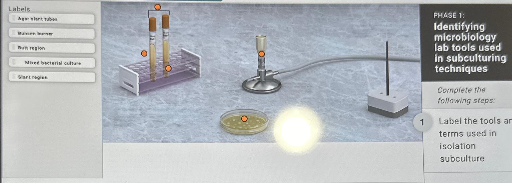 Solved Identifying microbiology lab tools used in | Chegg.com