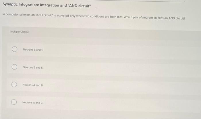 Required information Synaptic Integration Synaptic | Chegg.com