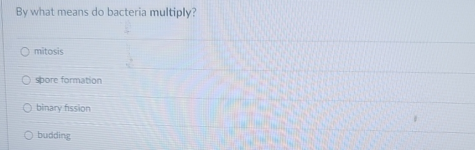 Solved By what means do bacteria multiply?mitosisspore | Chegg.com