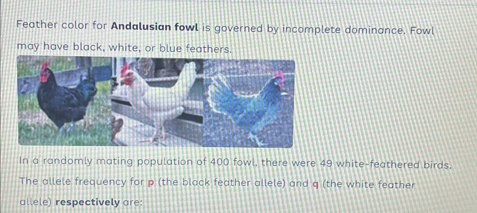 Solved Feather color for Andalusian fowl is governed by | Chegg.com