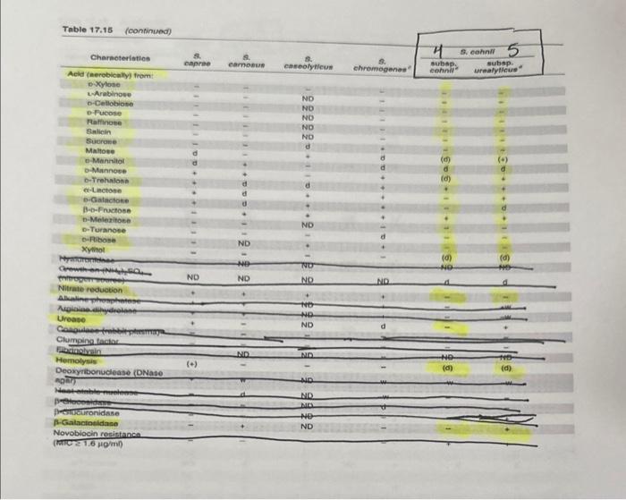 Assignment: Staphylococcits Unknown Dichotomous Key | Chegg.com