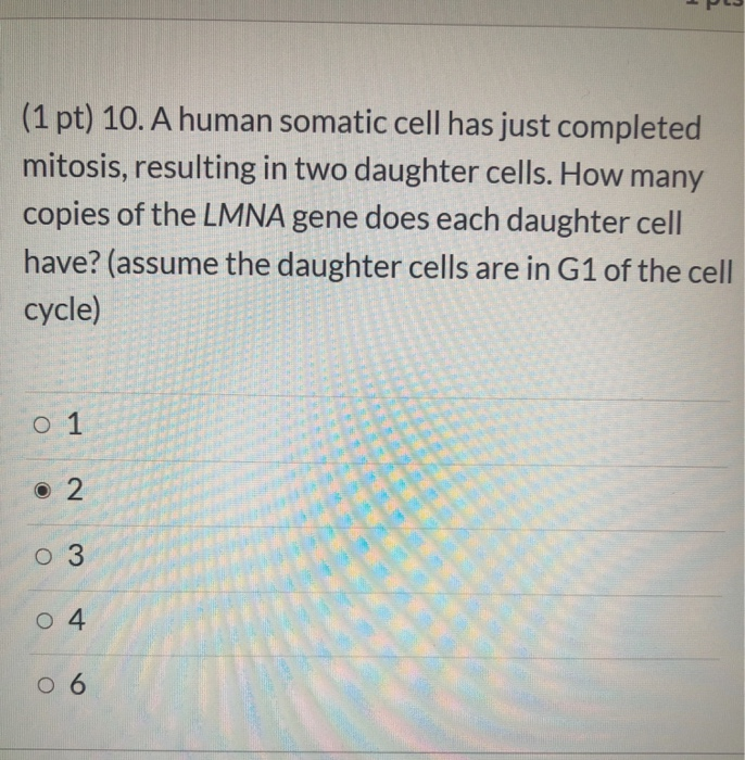 Solved (1 pt) 11. Another human somatic cell has just | Chegg.com