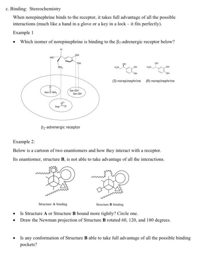 Solved c. ﻿Binding: StereochemistryWhen norepinephrine binds | Chegg.com