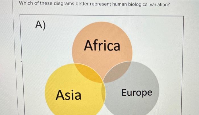 Which of these diagrams better represent human | Chegg.com