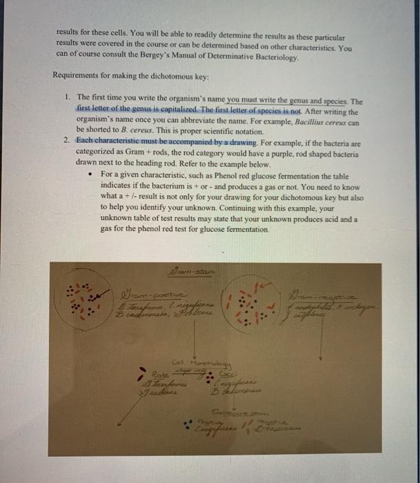 BIO 27 - Principles of Microbiology Identification of | Chegg.com