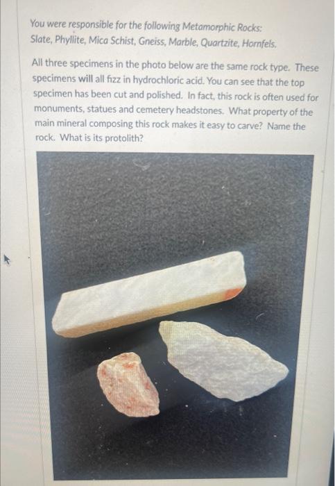 Solved You were responsible for the following Metamorphic | Chegg.com