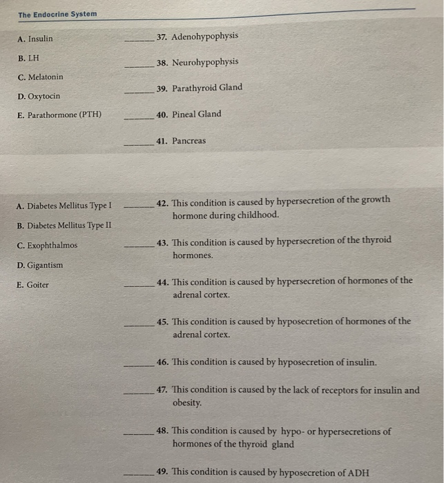 Solved The Endocrine System The Endocrine System: Practice | Chegg.com