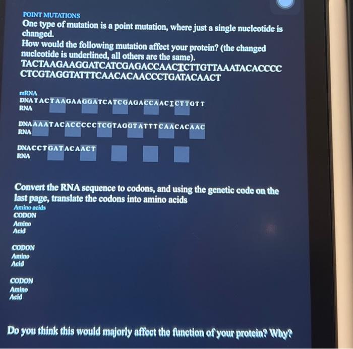 Solved POINT MUTATIONS One type of mutation is a point | Chegg.com