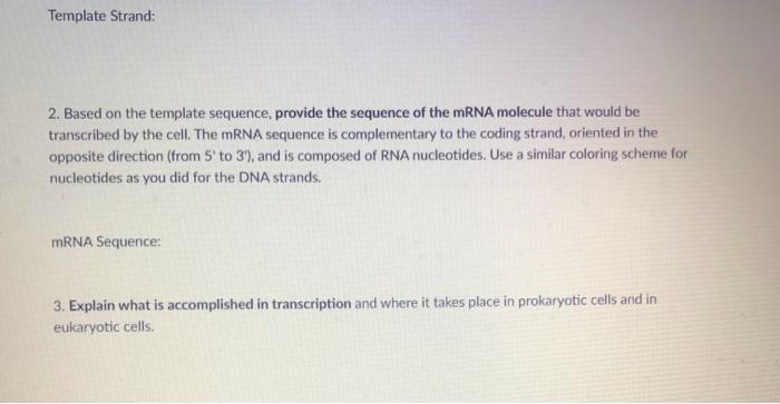 Solved Part 1: Transcribe a small fragment of DNA (3 pts) | Chegg.com