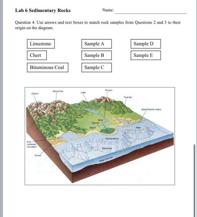 Solved Lab 6 Sedimentary Rocks Name: Question 4: Use arrows | Chegg.com