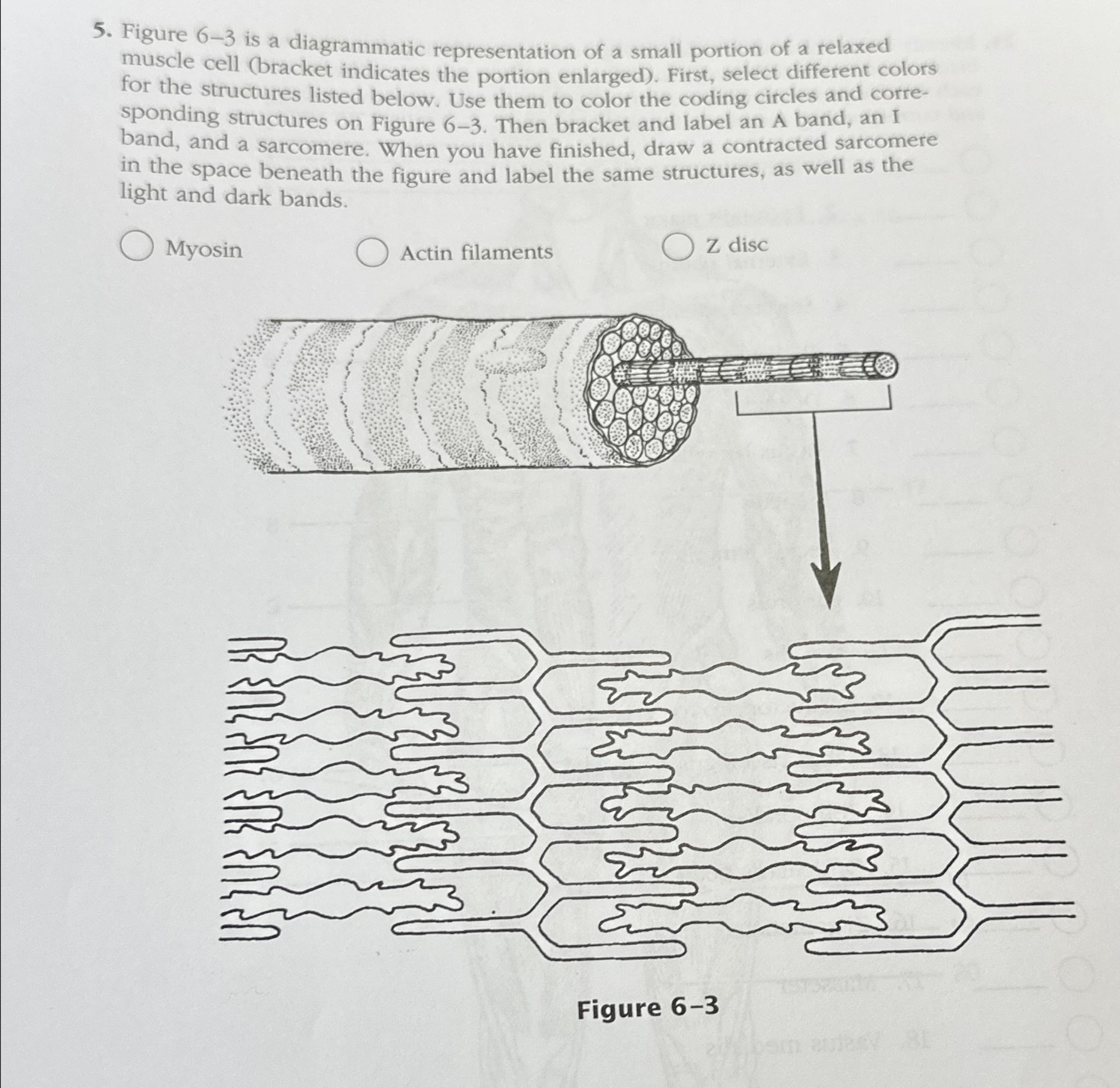Solved Figure 6-3 ﻿is a diagrammatic representation of a | Chegg.com
