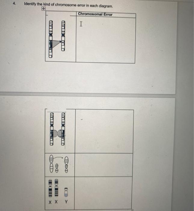 Solved 4 Identify the kind of chromosome error in each | Chegg.com