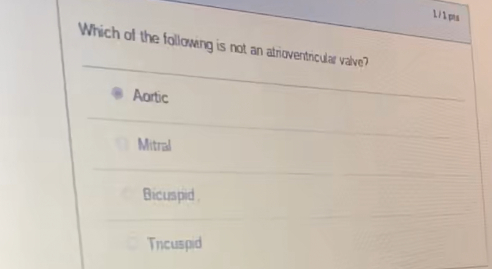 Solved 11puWhich of the following is not an atrioventncula | Chegg.com