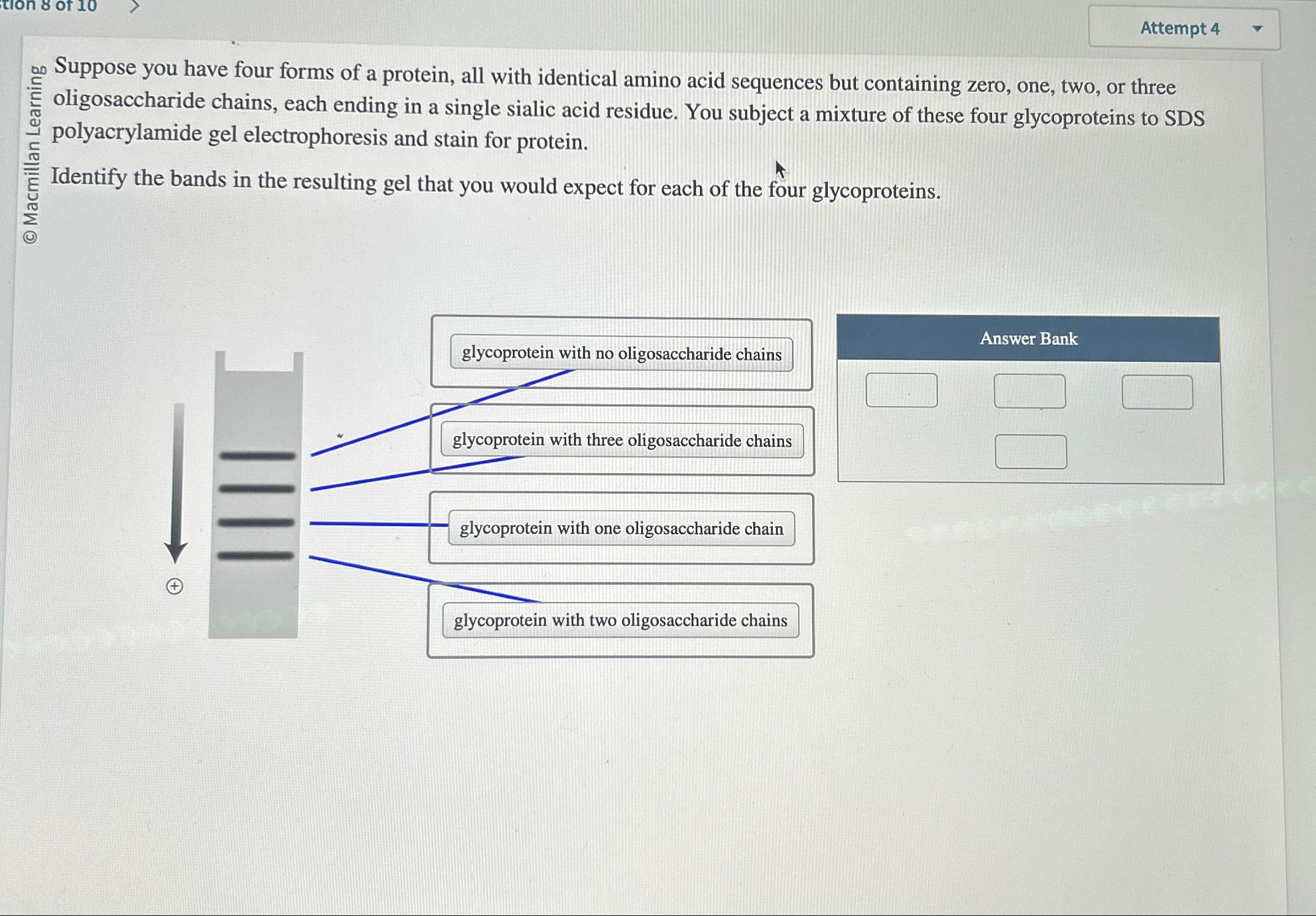 Solved (a)Suppose you have four forms of a protein, all with | Chegg.com