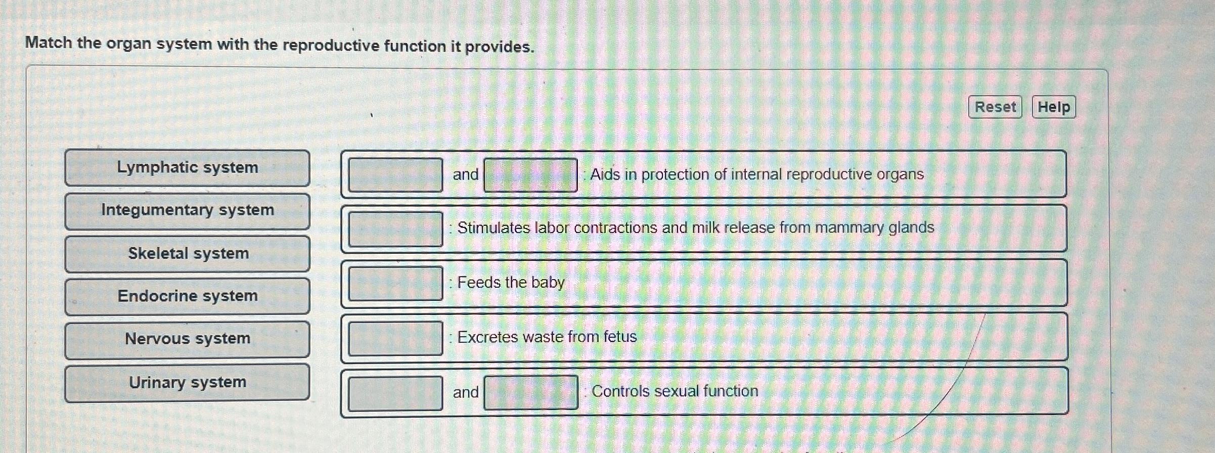 Solved Match the organ system with the reproductive function | Chegg.com