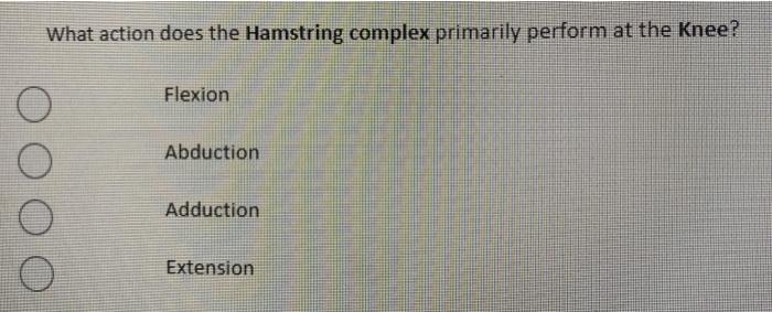 Solved What action does the Hamstring complex primarily | Chegg.com