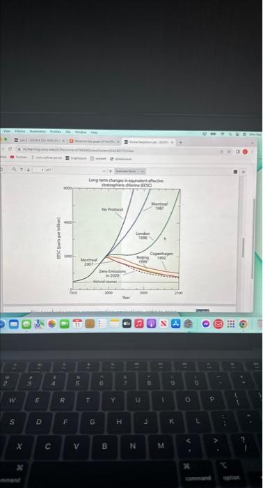 Based on the graph of the Effect of the Montreal | Chegg.com