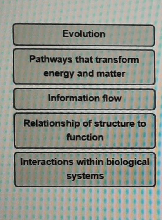 Solved Evolution Pathways that transform energy and matter | Chegg.com