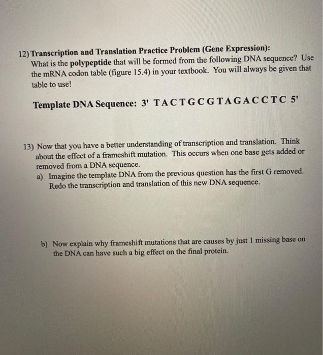 Solved 12) Transcription and Translation Practice Problem | Chegg.com