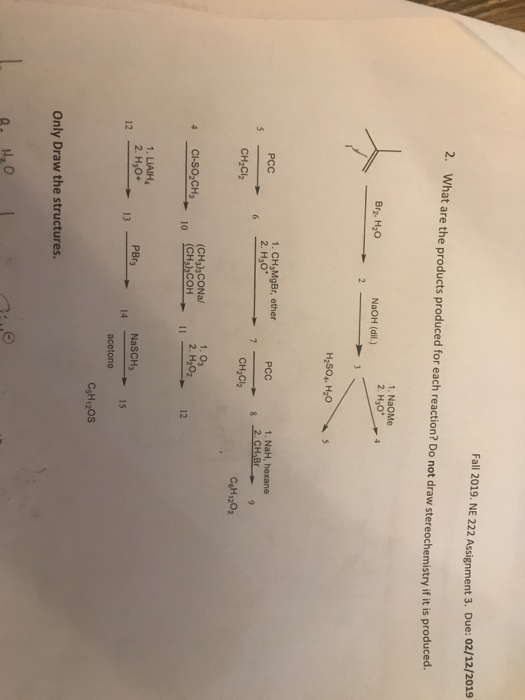 Solved Fall 2019. NE 222 Assignment 3. Due: 02/12/2019 2. | Chegg.com