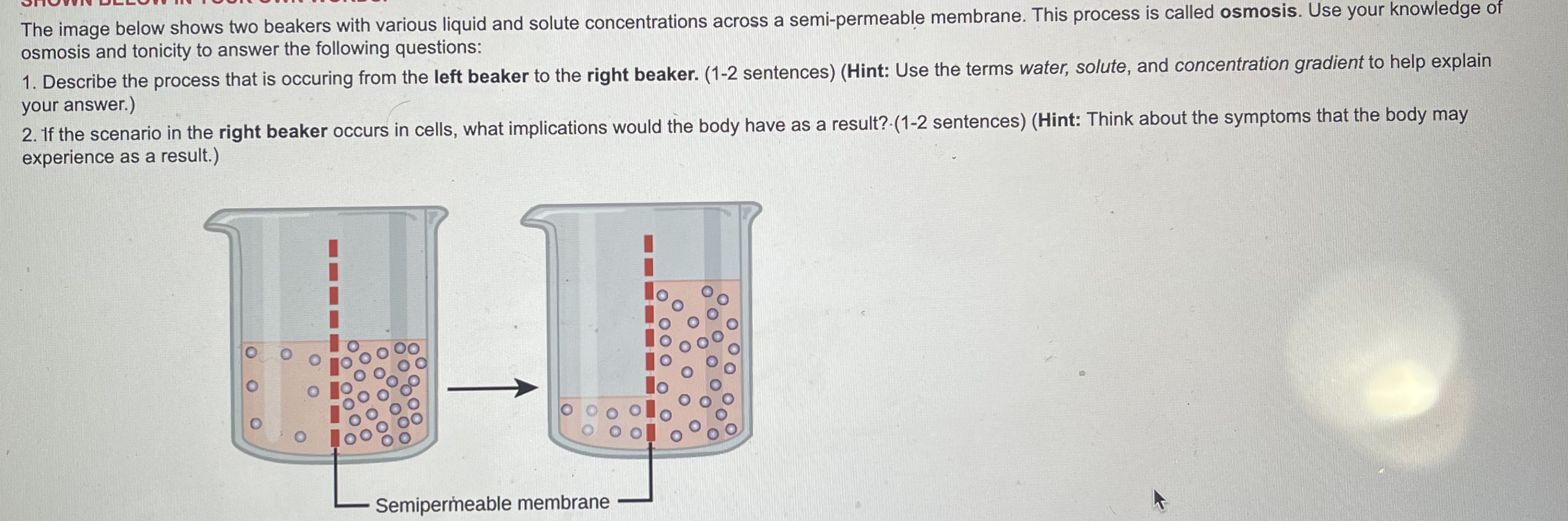 Solved The image below shows two beakers with various liquid | Chegg.com