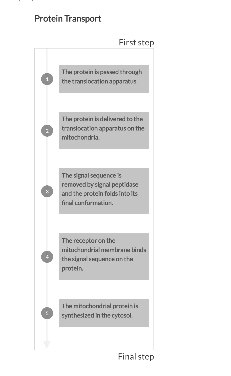 Solved Protein TransportFirst stepThe signal sequence is | Chegg.com