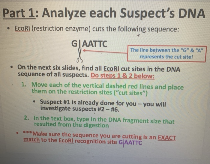 Solved Activity: Now it's your turn! There are four parts to | Chegg.com