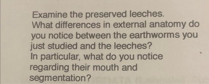 Examine the preserved leeches. What differences in | Chegg.com