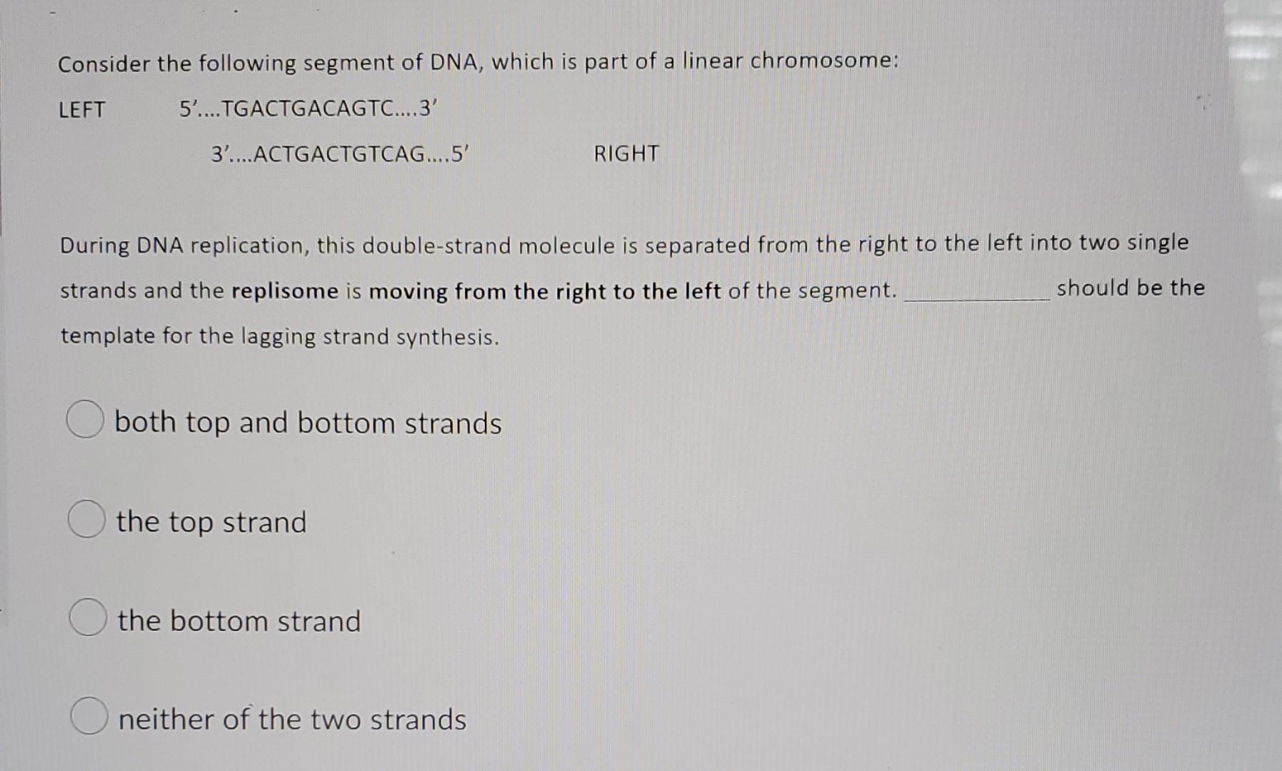 Solved Consider the following segment of DNA, which is part | Chegg.com