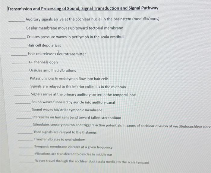 Solved Transmission and Processing of Sound, Signal | Chegg.com