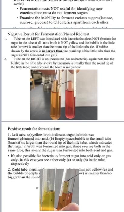 Solved Fermentation/Phenol Red test result for Proteus | Chegg.com