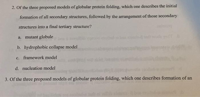 Solved 2. Of the three proposed models of globular protein | Chegg.com