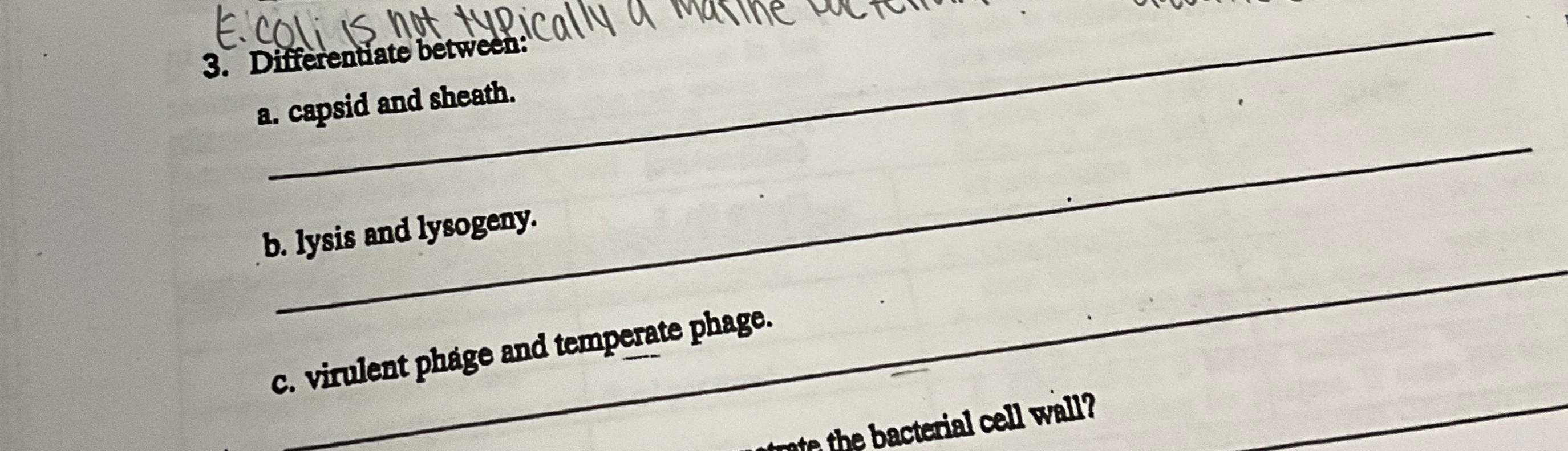Solved Differentiate betweet:a. ﻿capsid and sheath.b. ﻿lysis | Chegg.com